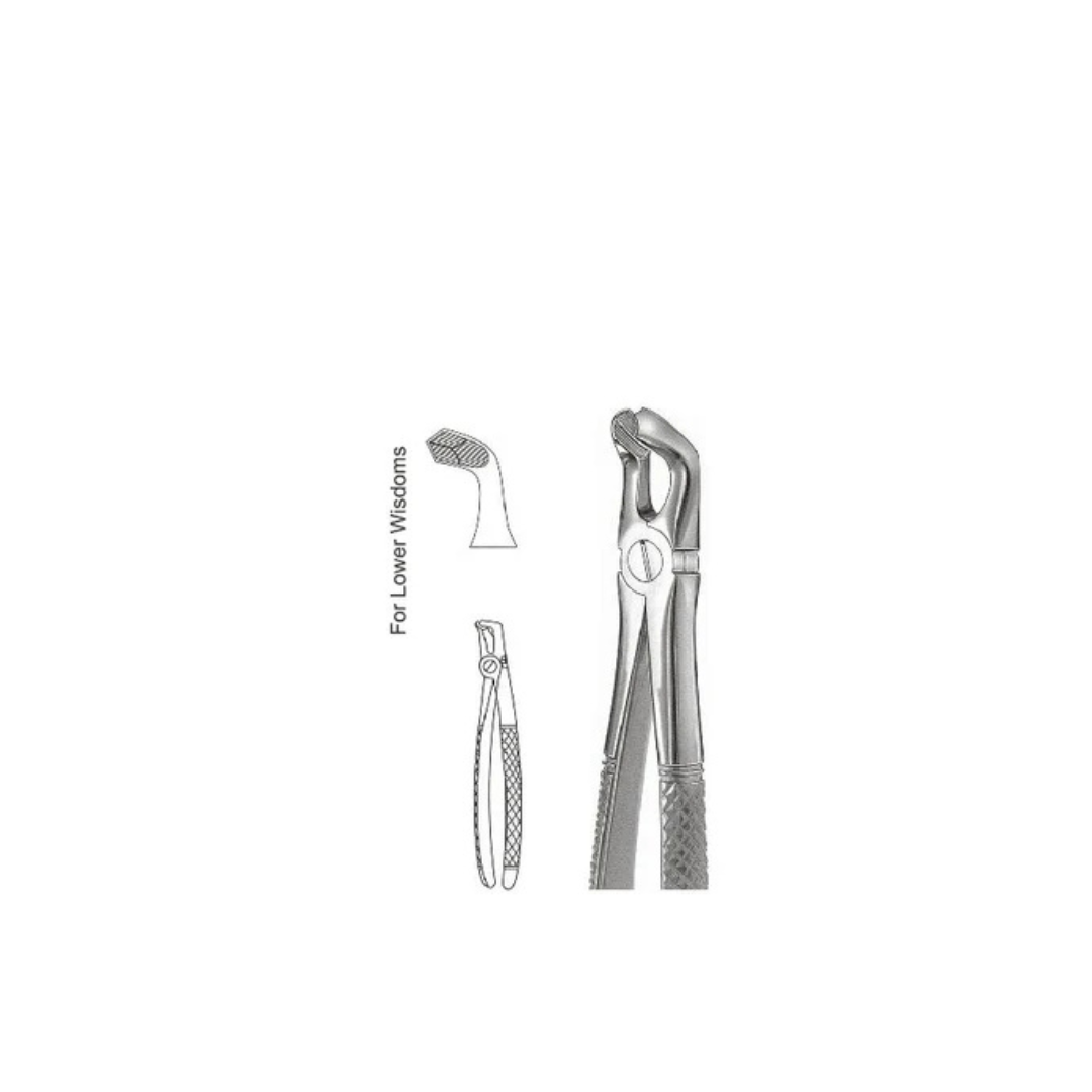 GH08-027 - Extracting Forceps (English Patterns), Mead, No. MD3, Lower ...